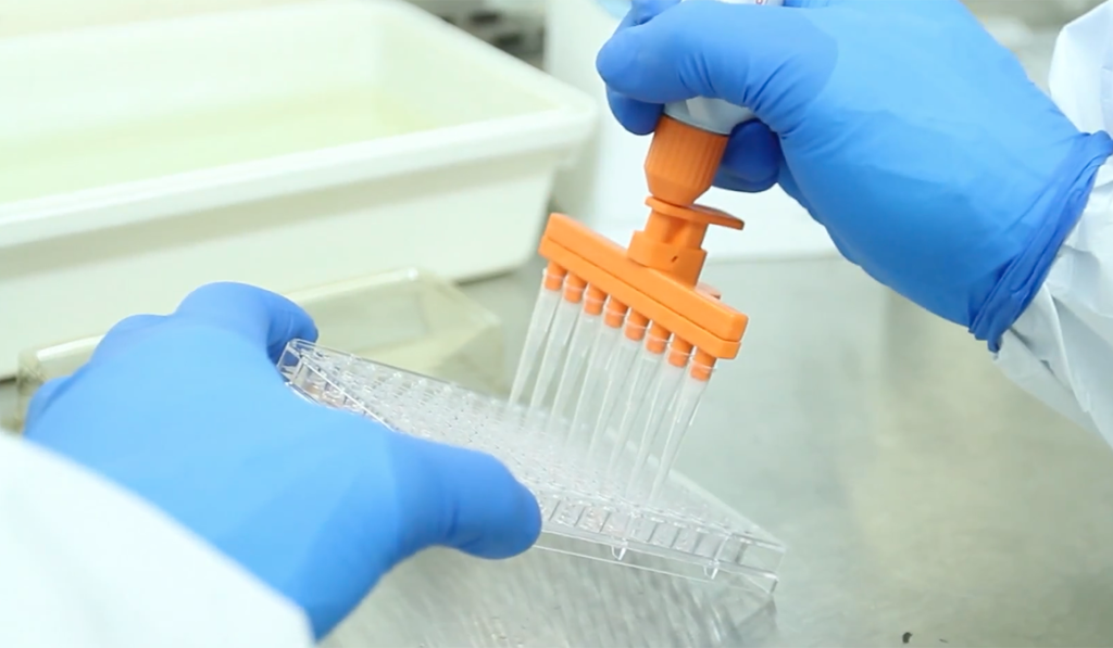 Discover - Research for Me